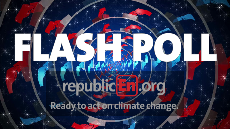 Flash Poll - Election 2024 - republicEn